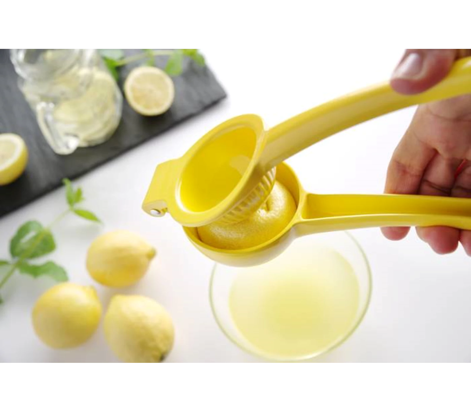 CJEDILO ZA CITRUSE - Mayoko